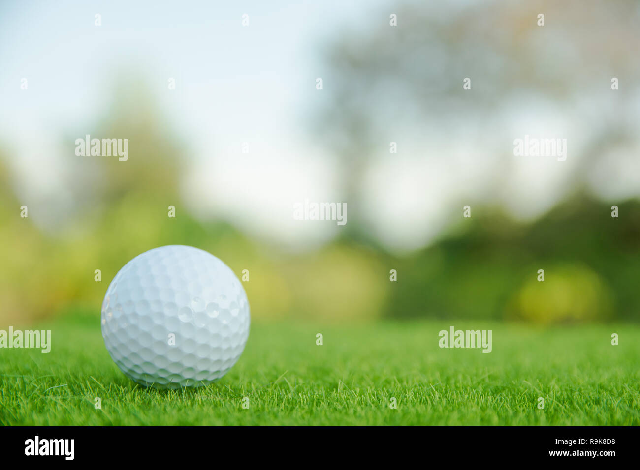 Golf ball on green grass ready to play at golf course. with copy space ...