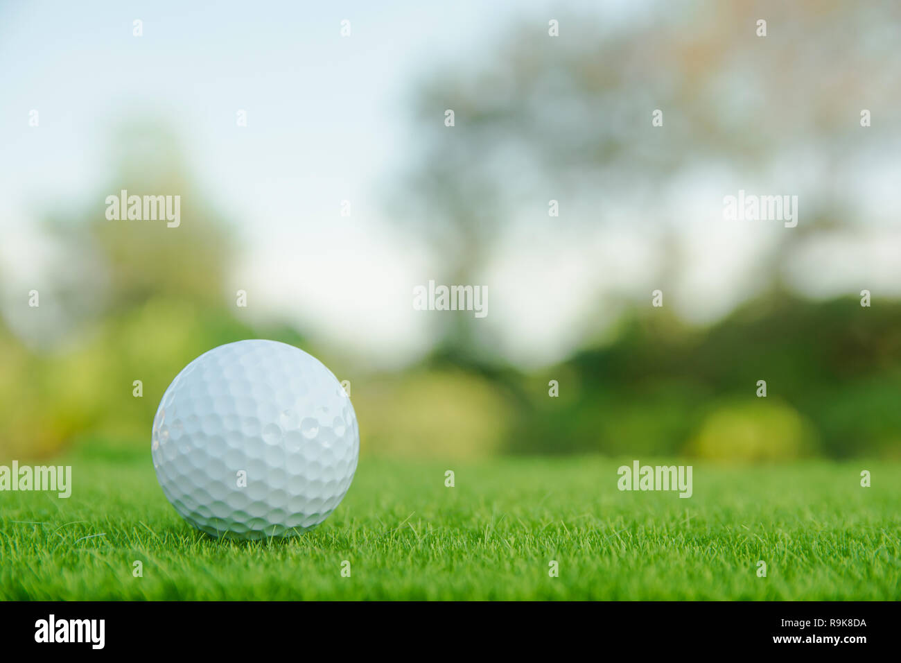 Golf ball on green grass ready to play at golf course. with copy space ...