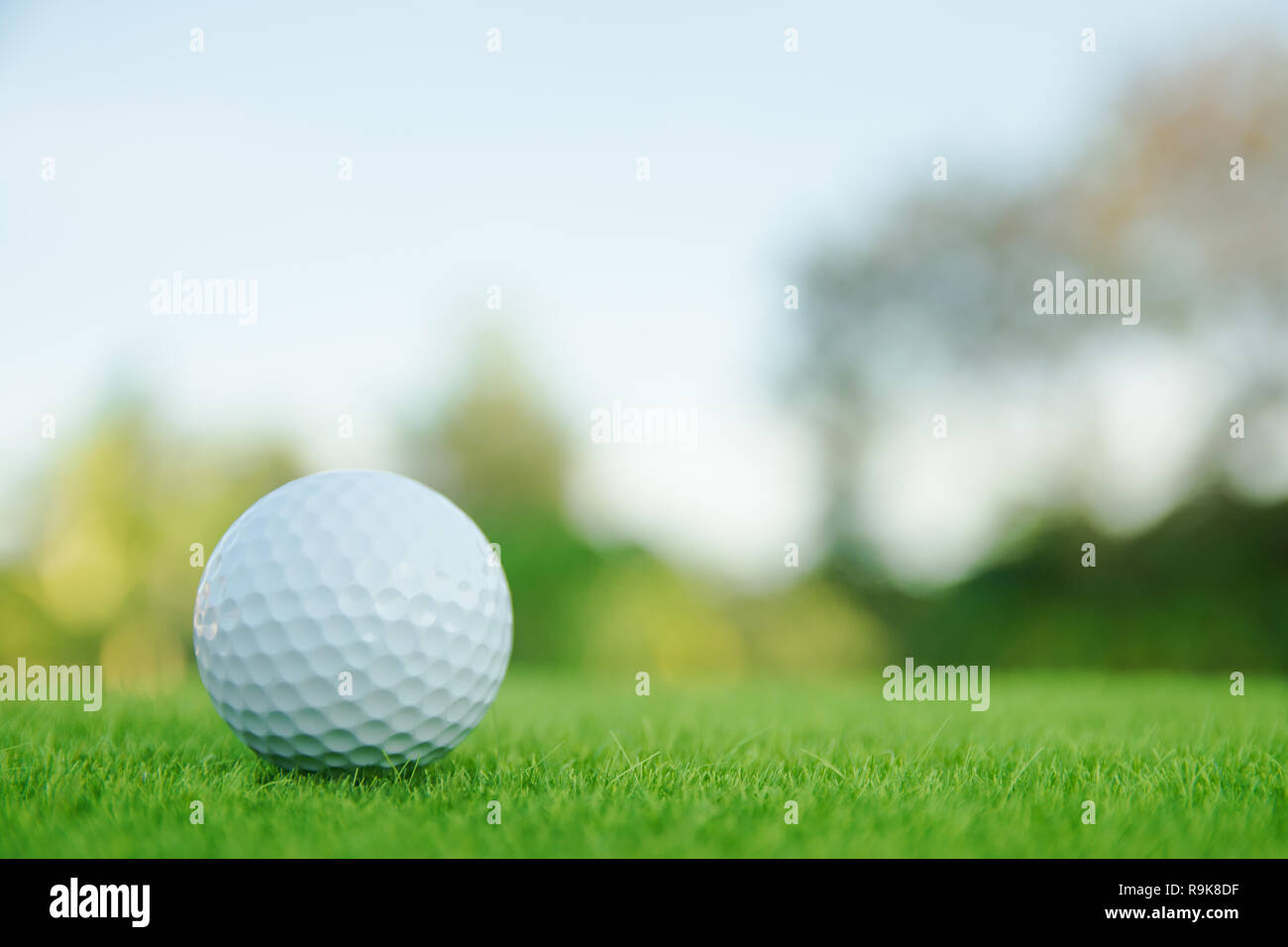 Golf ball on green grass ready to play at golf course. with copy space ...