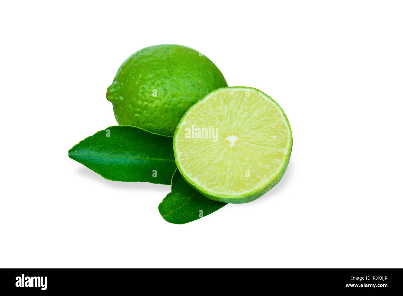 Lime slice and leaf isolated on white background with clipping path ...