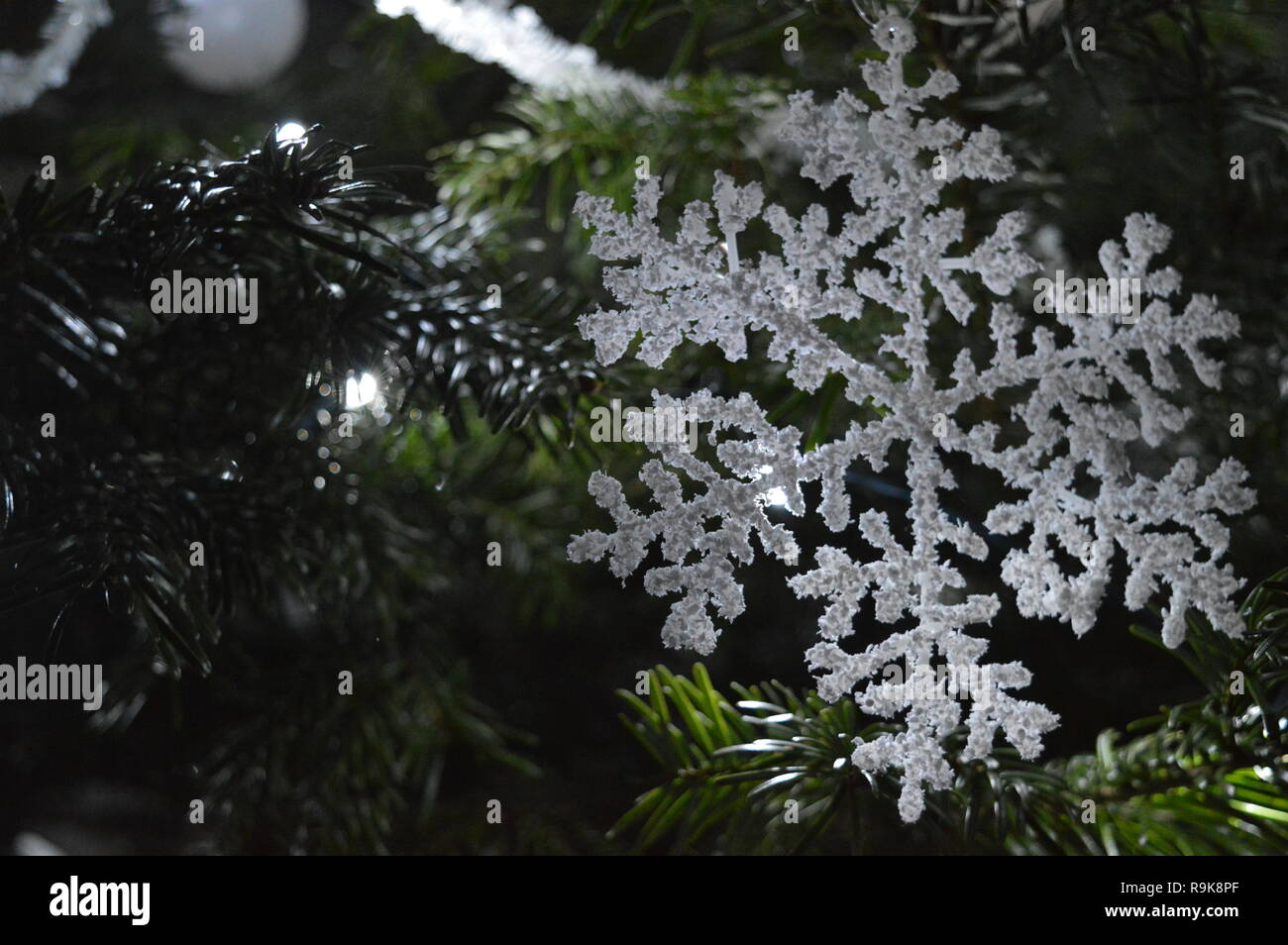 Snowflake on leaf hi-res stock photography and images - Alamy