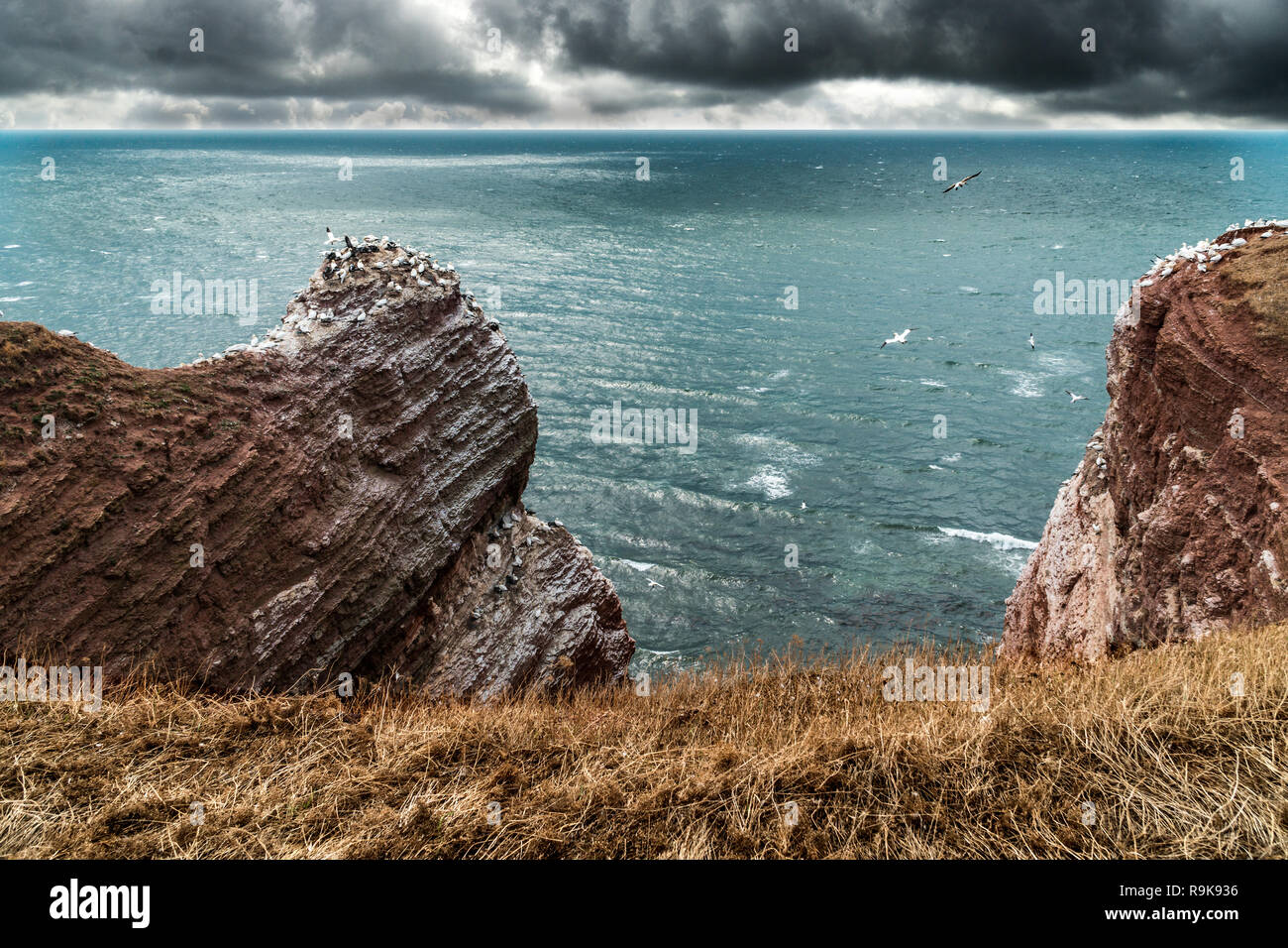 Mountain cliff formation at the coast of Helgoland in the German north ...