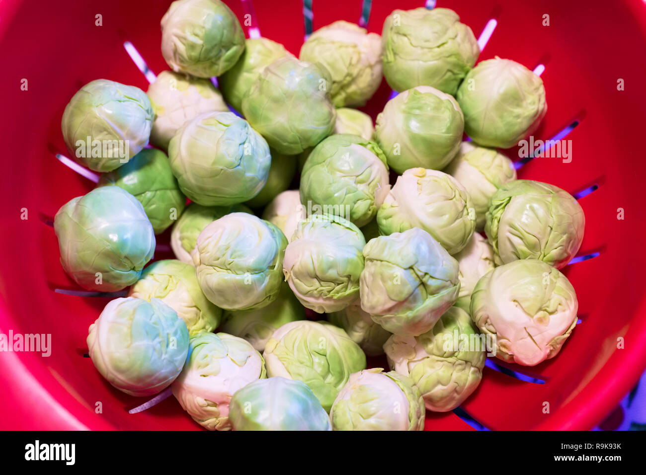 Brussel sprouts Christmas festive food in red bowl Stock Photo - Alamy