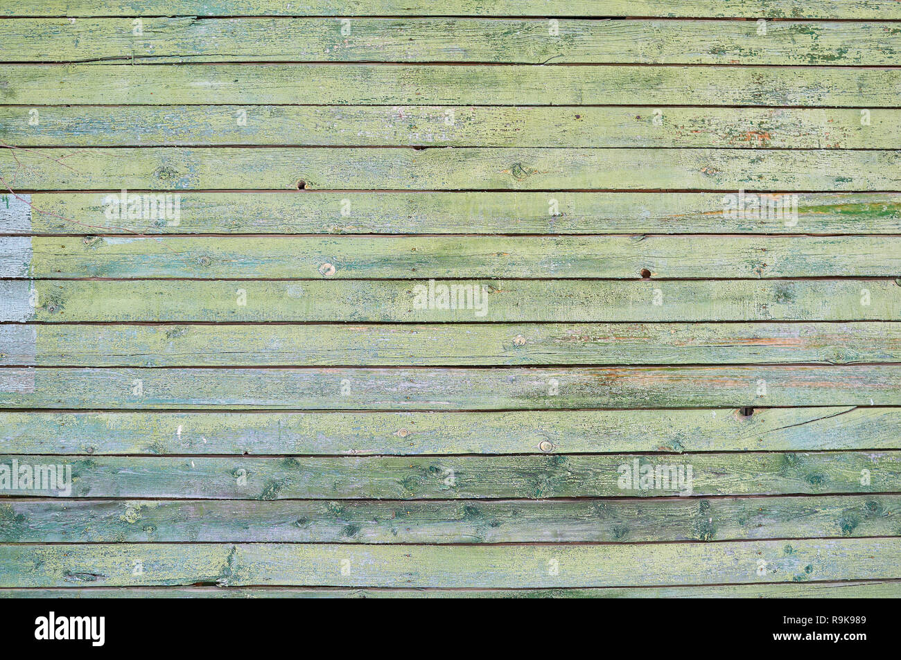 Old wooden painted green paint shield with cracks and scratches Stock ...