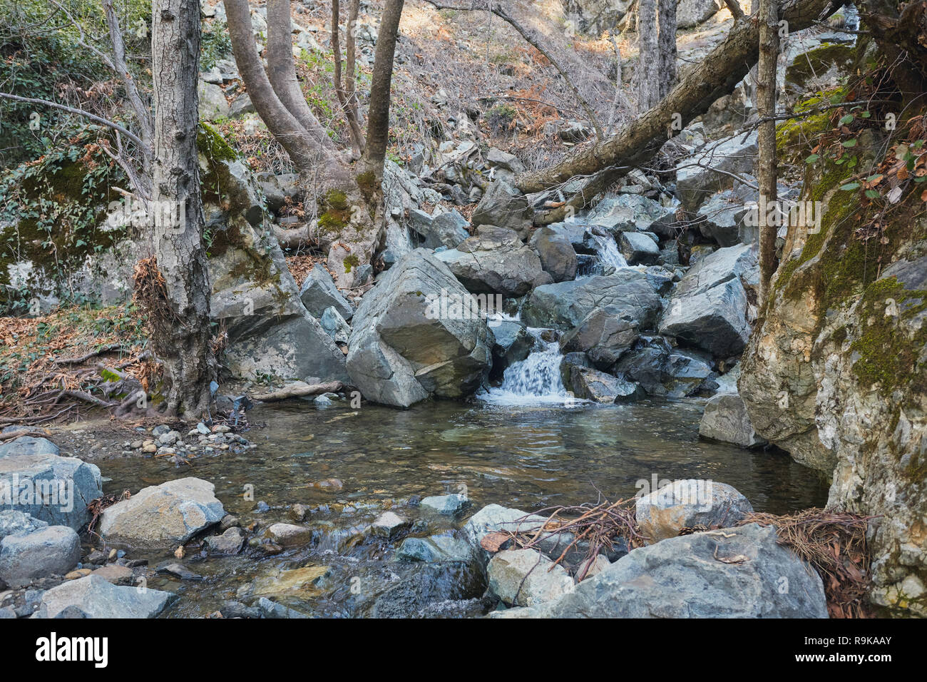 Mountain river landscape. Silky smooth stream of clear water through ...