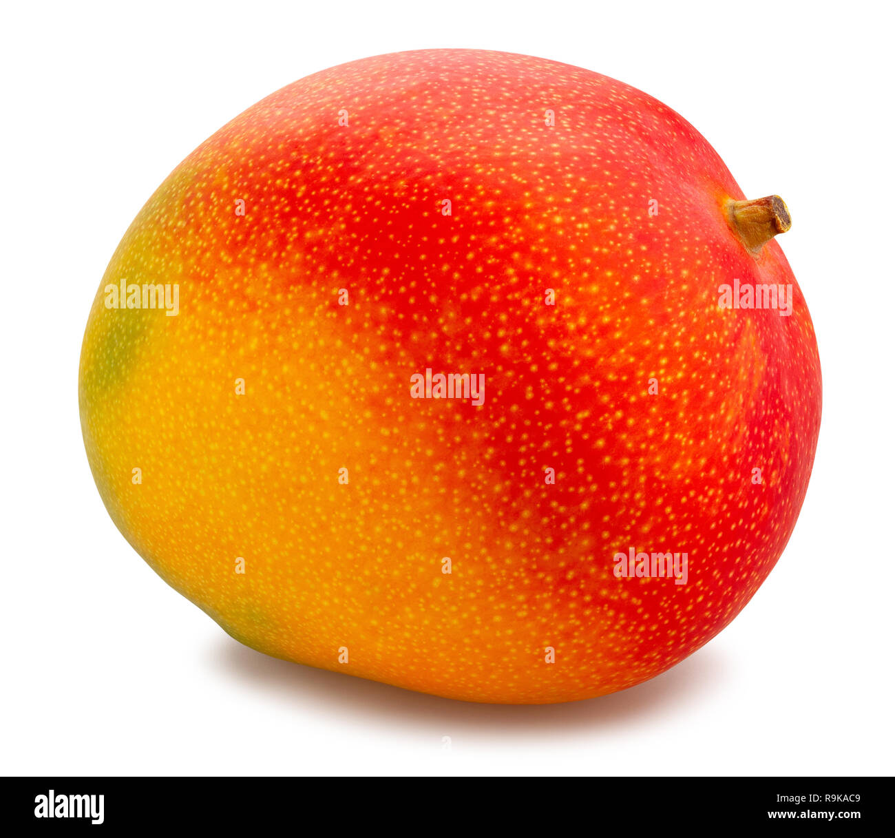 mango path isolated Stock Photo - Alamy