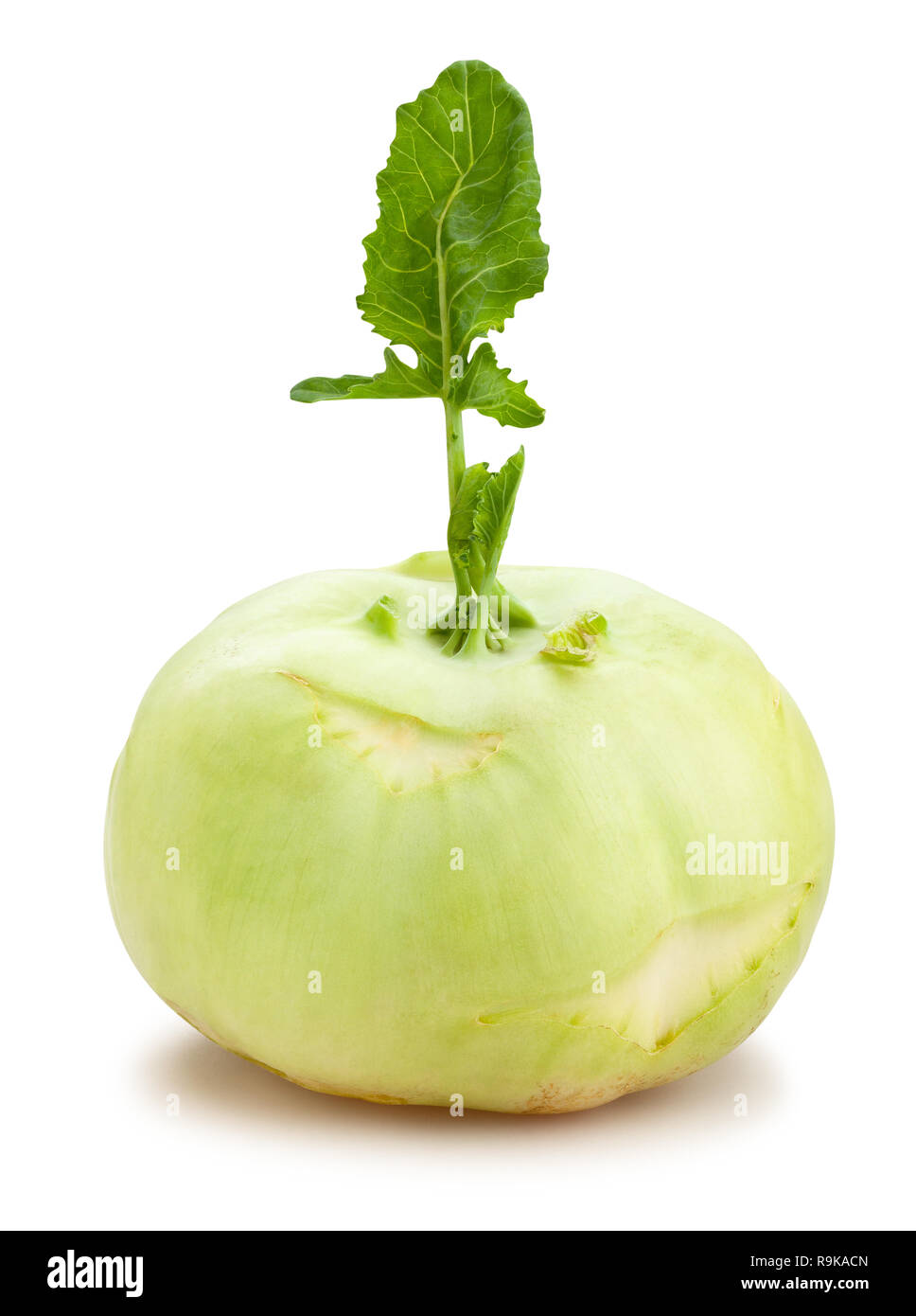 Kohlrabi food hi-res stock photography and images - Alamy