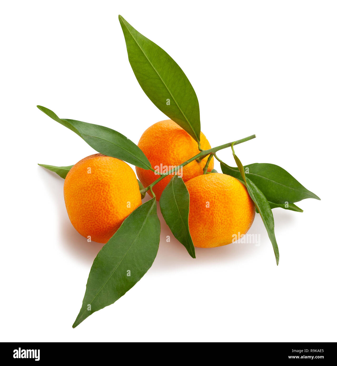 Tangerines yellow and green tropical fruit hi-res stock photography and ...