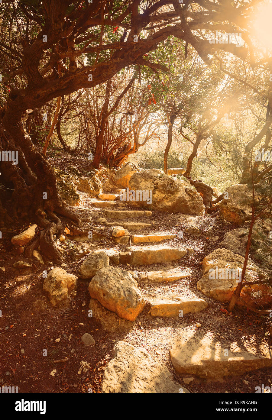 Amazing natural mysterious landscape in the Avakas canyon in Cyprus ...
