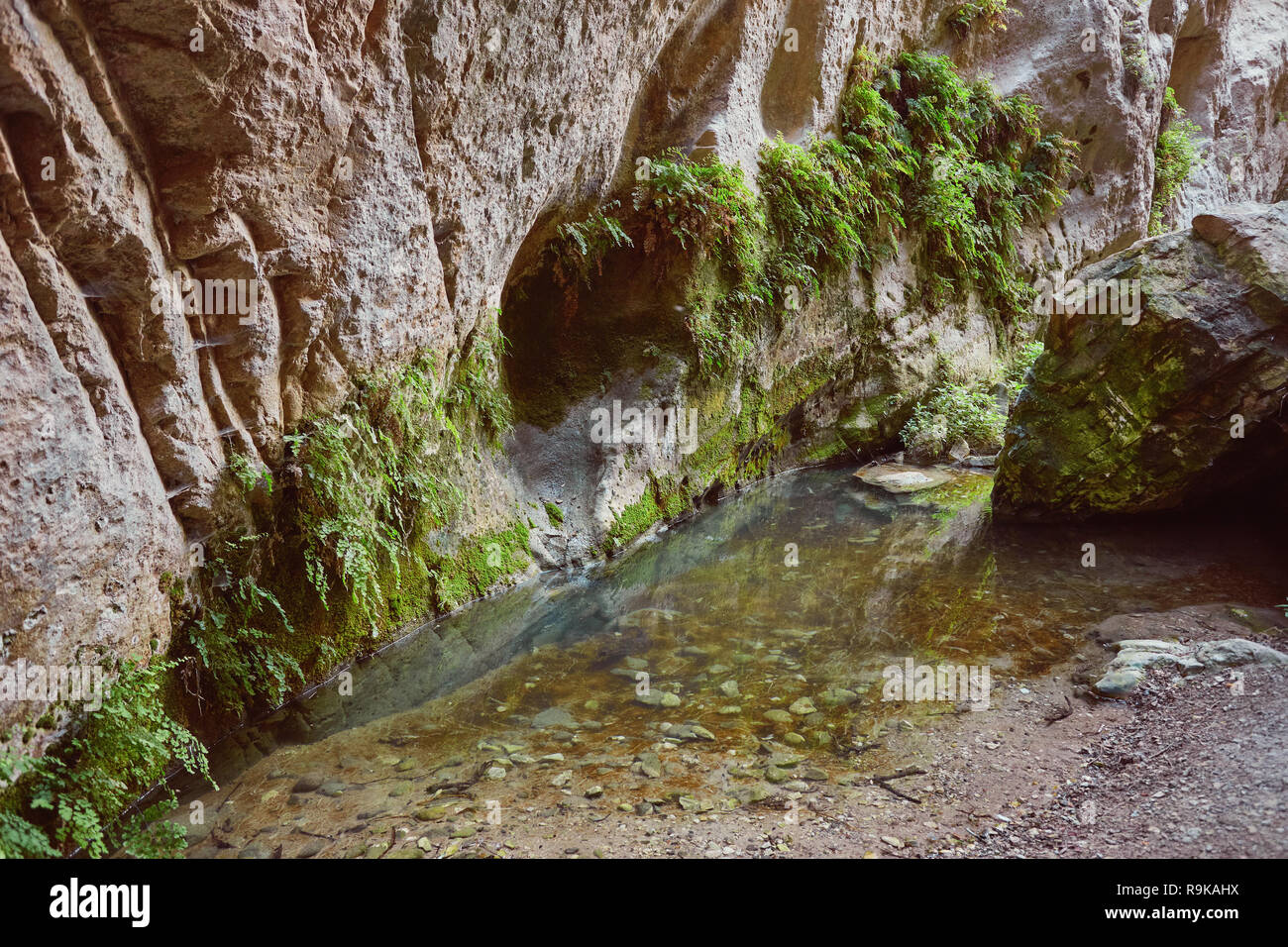 Amazing natural landscape in the Avakas canyon in Cyprus. National ...