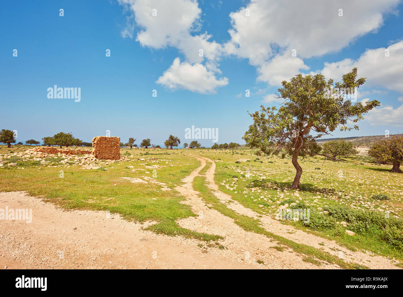 beautiful famous Avakas gorge in western cyprus Stock Photo - Alamy