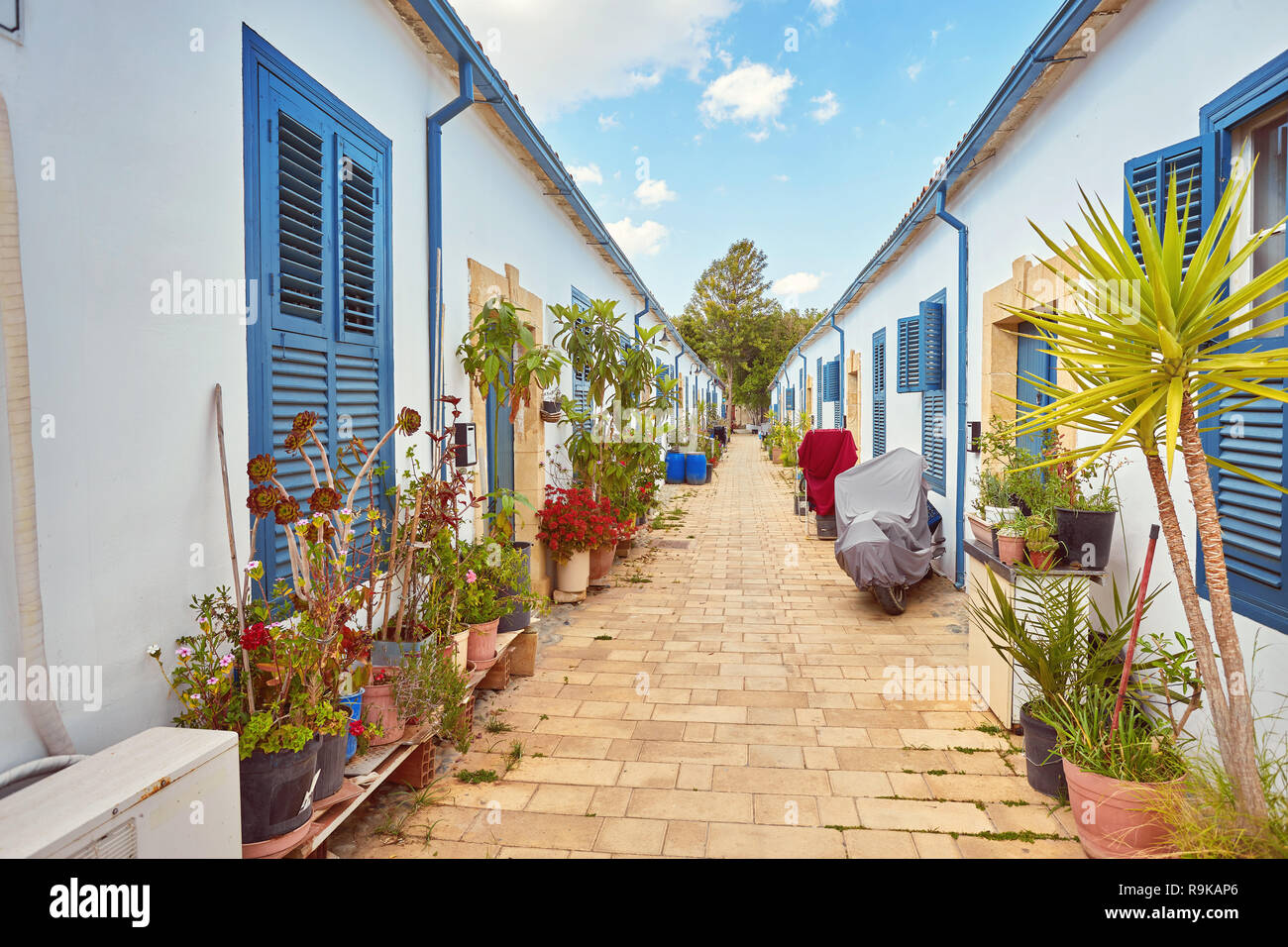 Sidi Bou Said. Tunisia. Houses and streets of the magical blue and ...