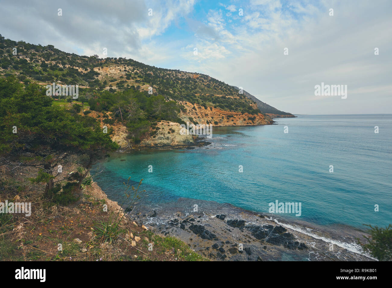 Stones and rocks in forefront with creamy surf ebbing and flowing on ...