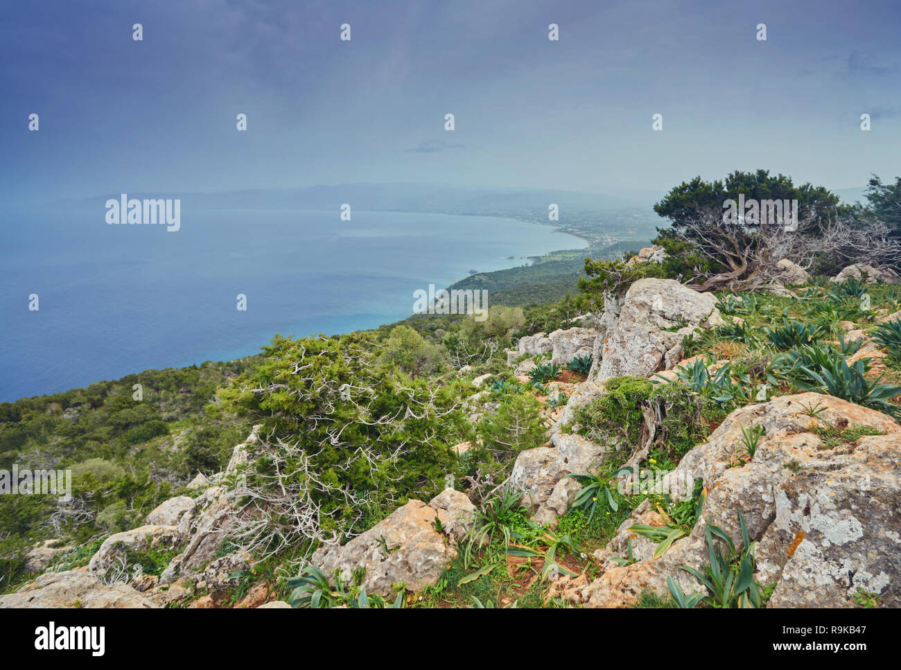 Cyprus Akamas Peninsula National Park mountain's top Stock Photo - Alamy