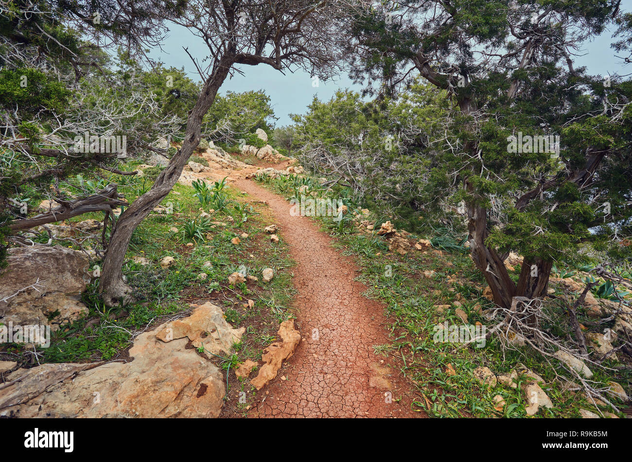 Akamas nature trail aphrodite trail hi-res stock photography and images ...