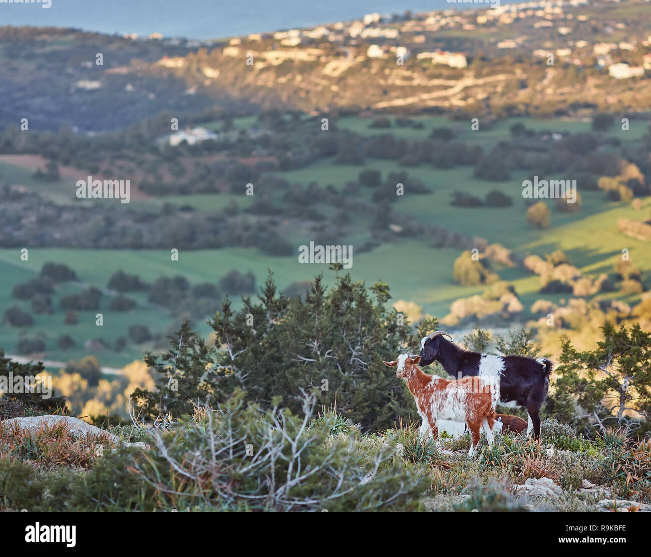National food security hi-res stock photography and images - Alamy
