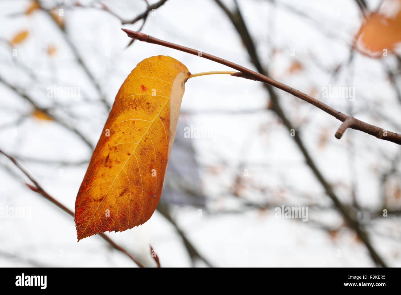 Changing form hi-res stock photography and images - Alamy