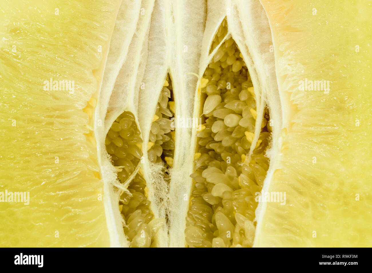 Close-up background surface view of cut pomelo fruit Stock Photo - Alamy