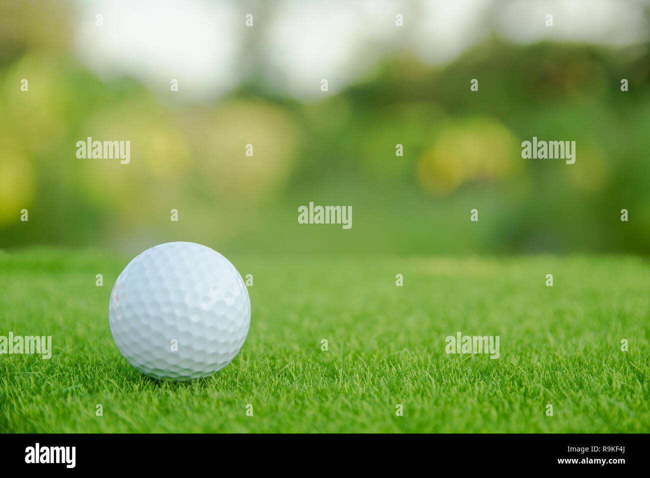 Golf ball on green grass ready to play at golf course. with copy space ...