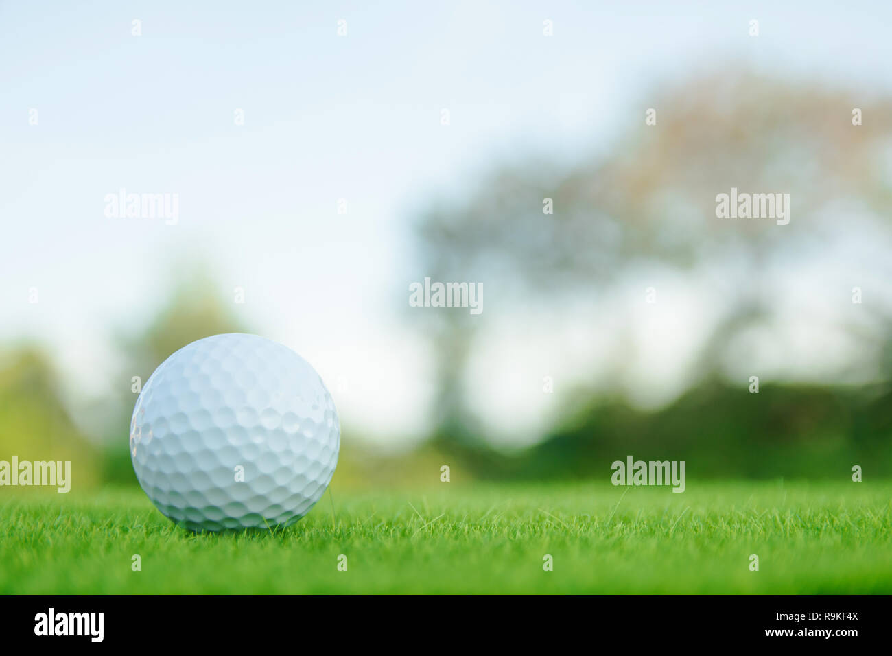 Golf ball on green grass ready to play at golf course. with copy space ...