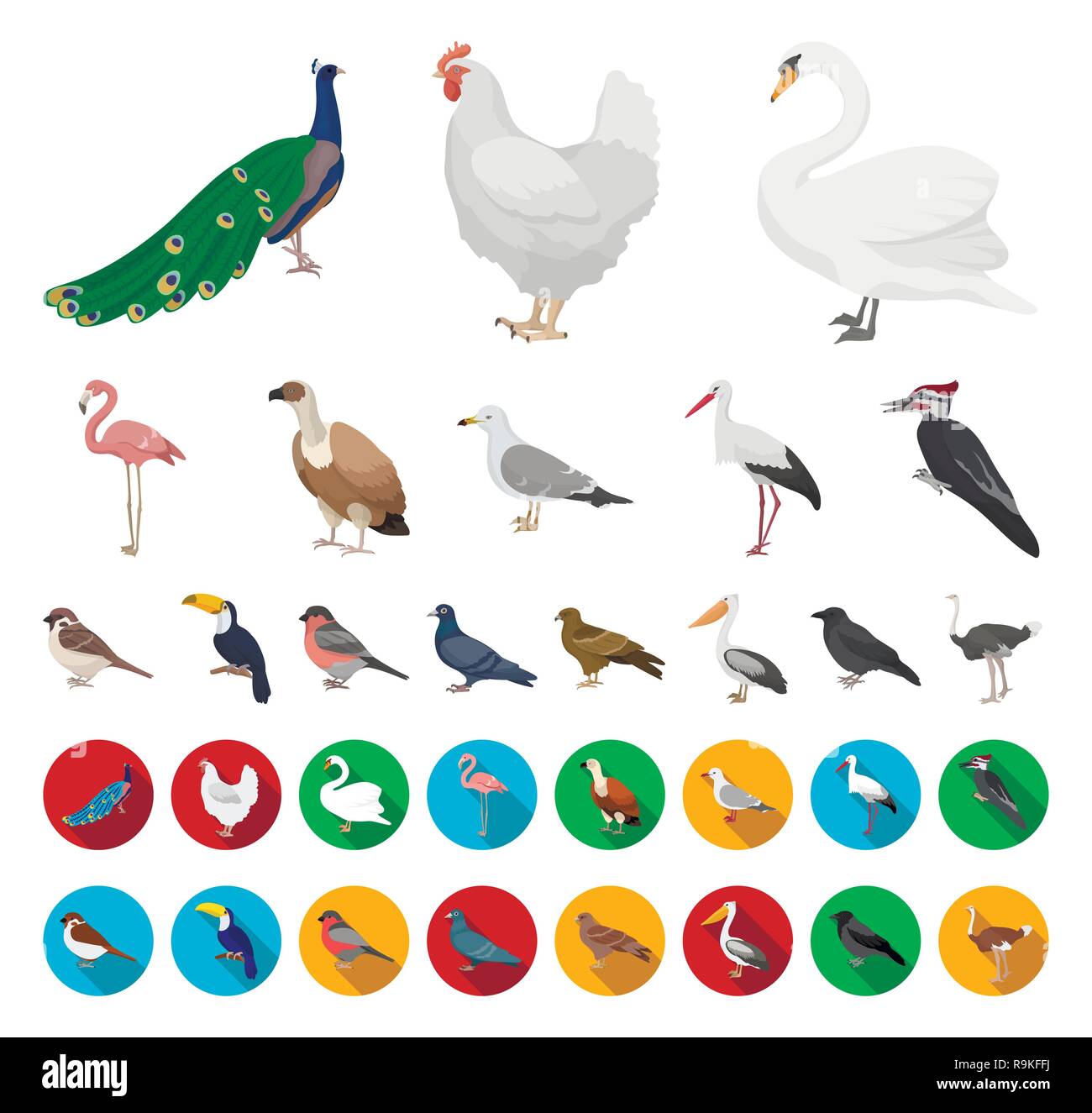 animal,art,beak,bird,bullfinch,cartoon,flat,chicken,collection,crow ...