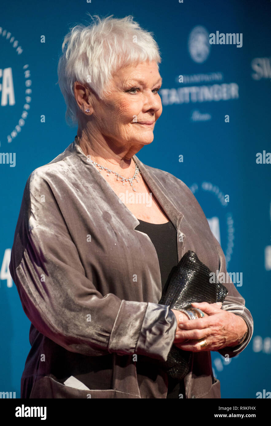 Dame Judi Dench At The 21st British Independent Film Awards At Old Billingsgate London Photo