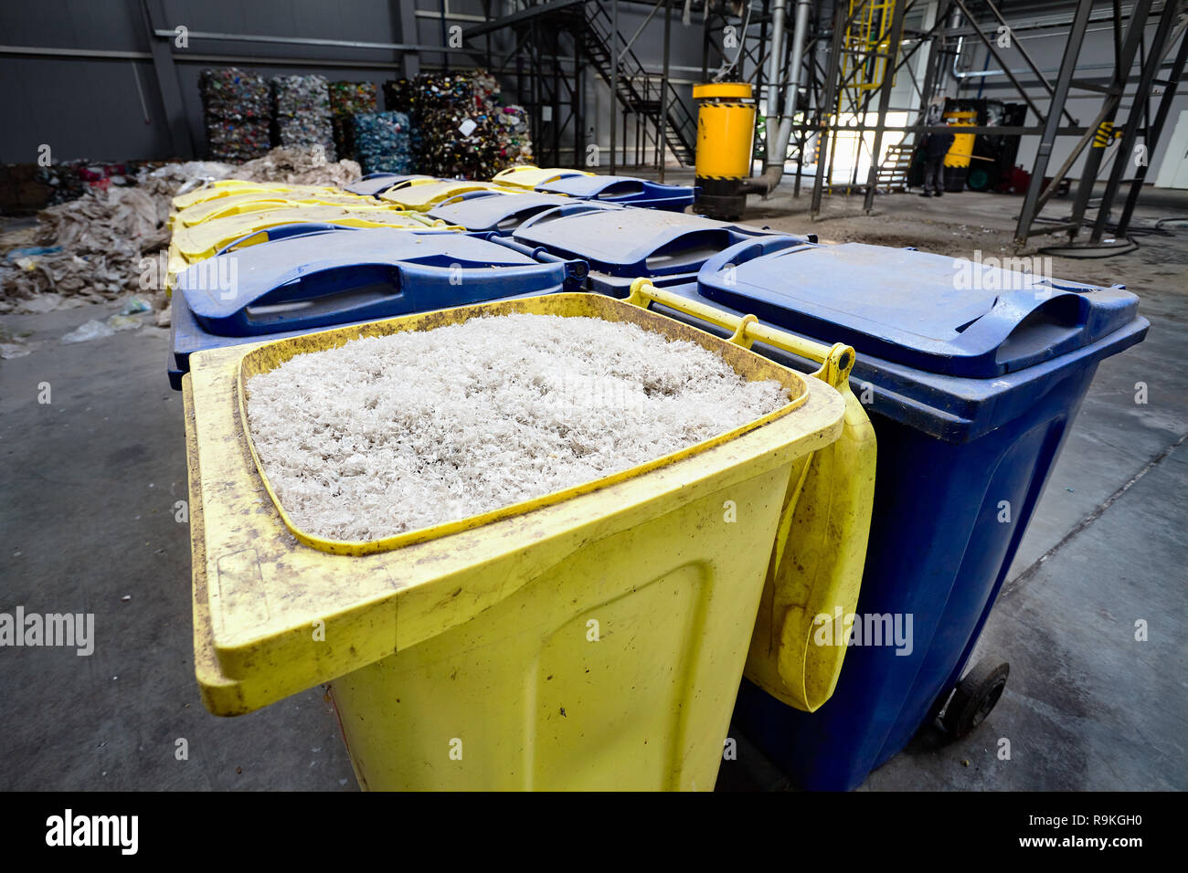 Modern waste processing and sorting plant. Containers with shredded ...