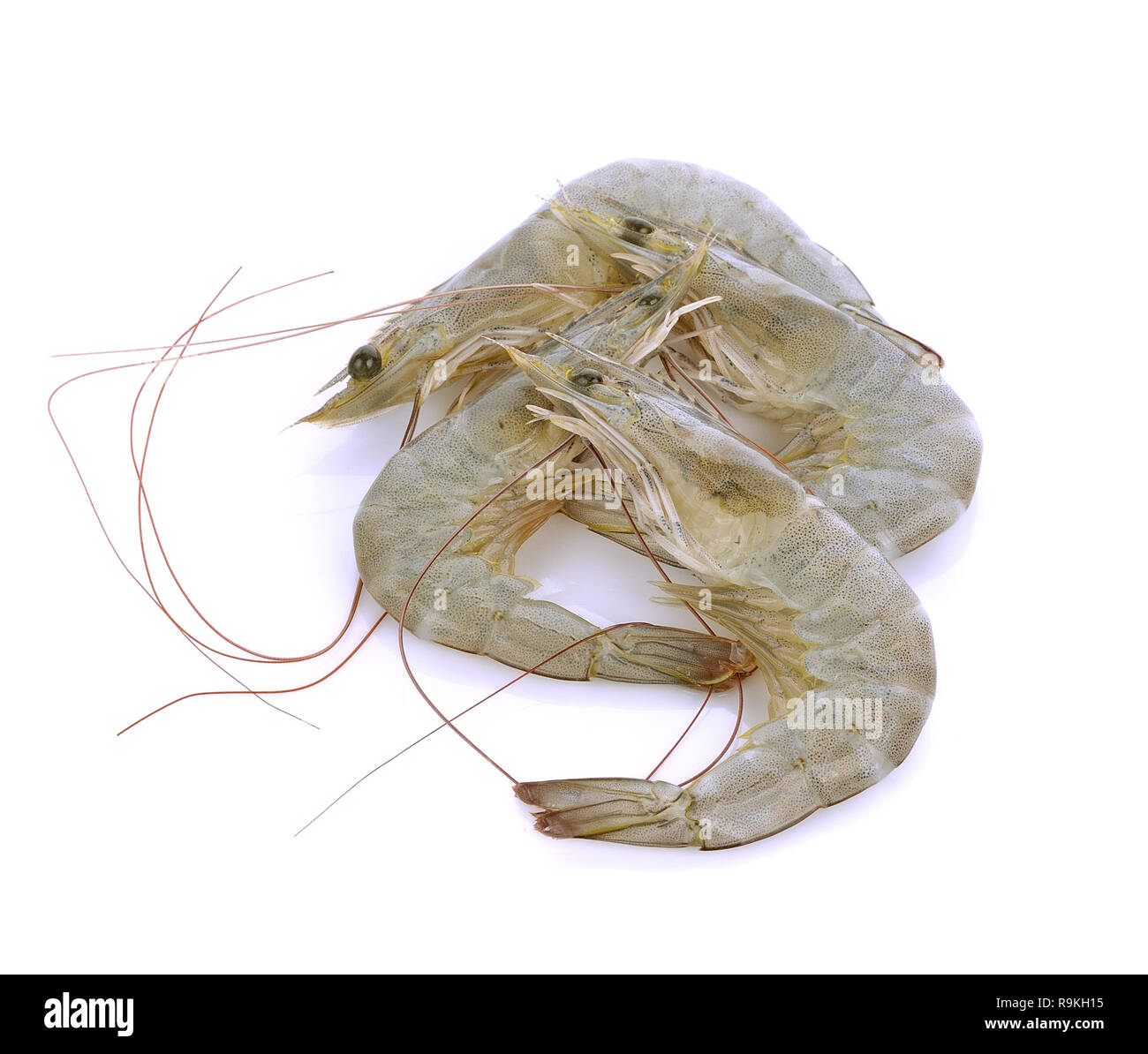 Peeled prawns prawn Cut Out Stock Images & Pictures - Alamy