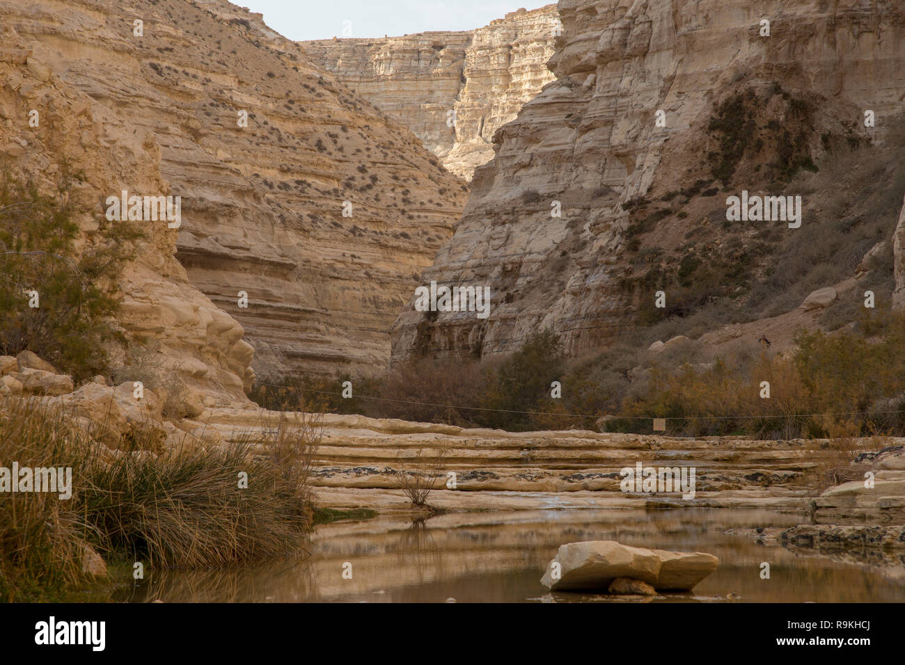 Israel negev desert wilderness of zin hi-res stock photography and ...