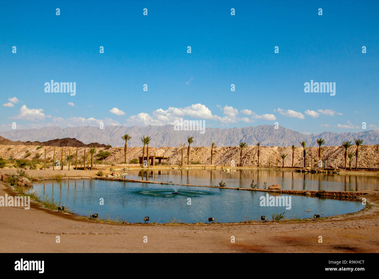 Israel, the shore of the lake in Yeruham park in the Negev Desert Stock ...