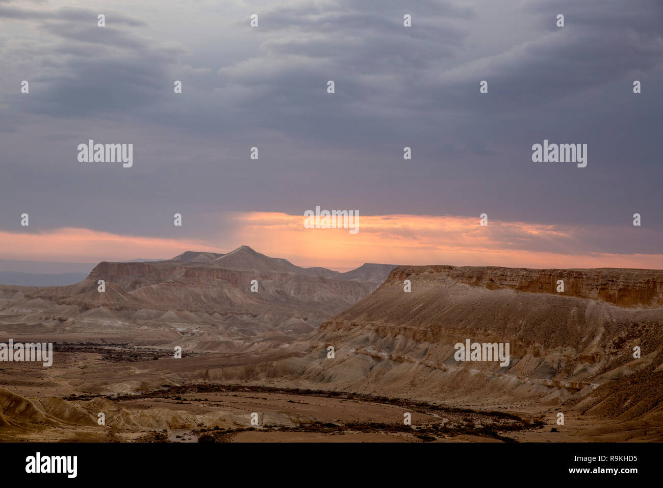 Zin desert hi-res stock photography and images - Alamy