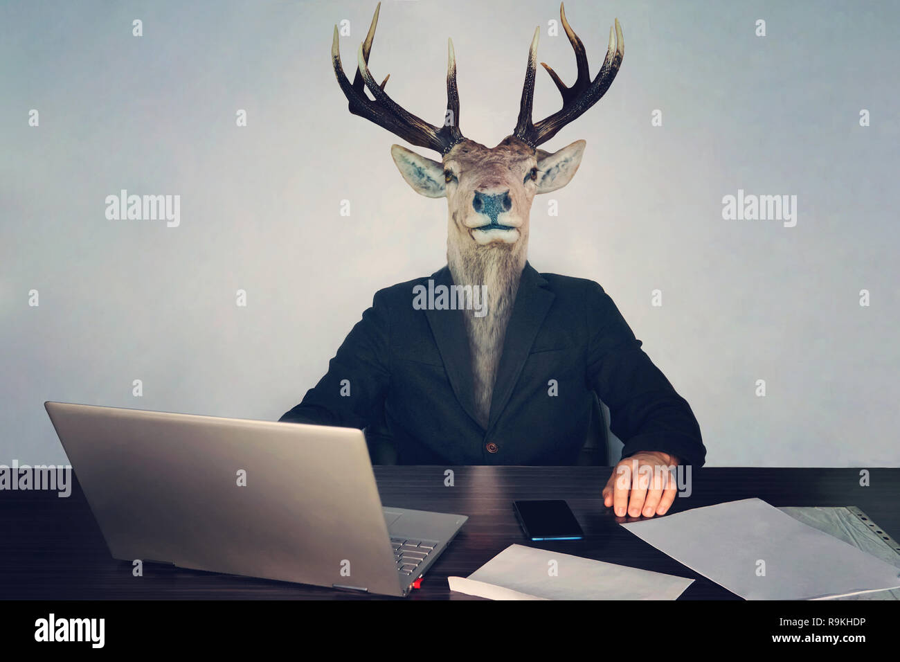 male business man with deer head on a blue background in the office at ...