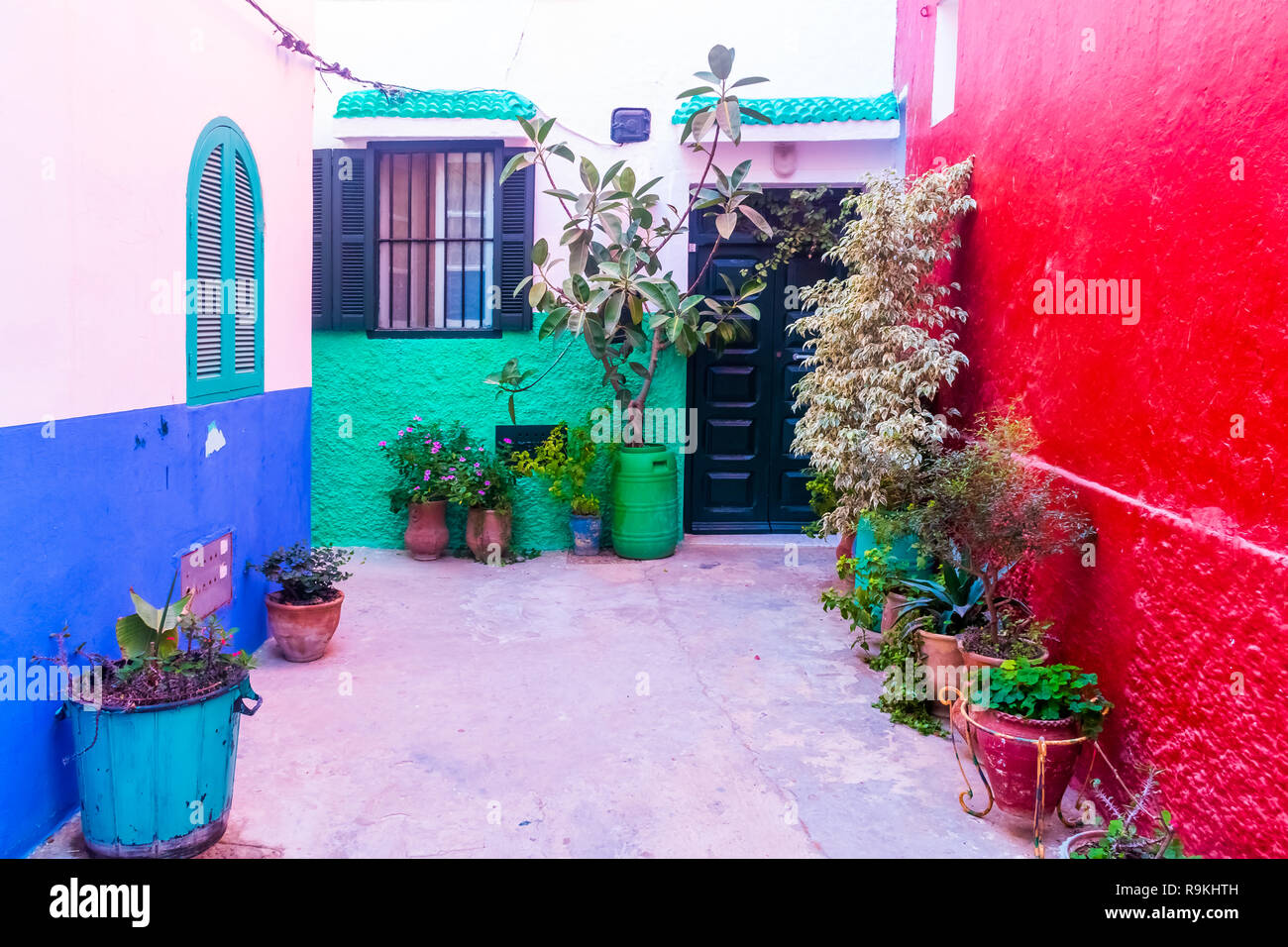 Romantic street, pots of plants and flowers in white medina of Asilah ...