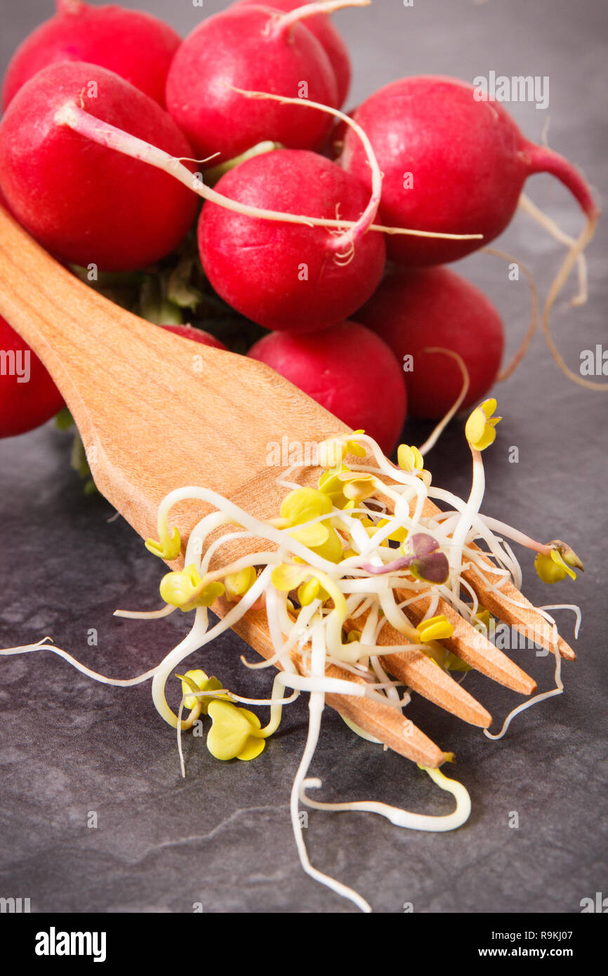 Sprouted radish hi-res stock photography and images - Alamy