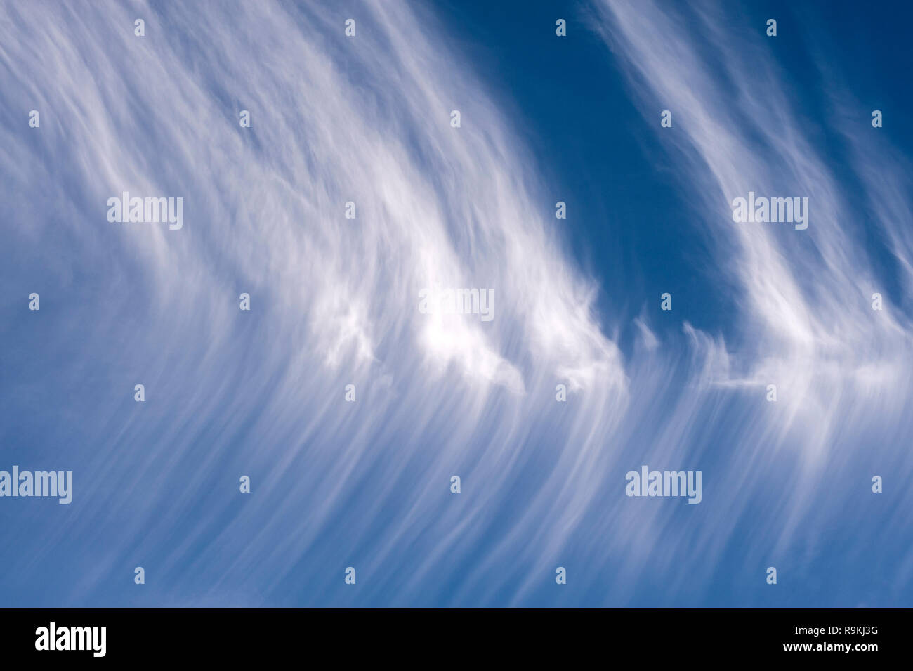 Cirrus clouds spreading out over blue sky creating animal shapes Stock ...