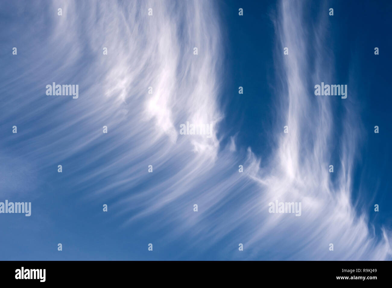 Cirrus clouds spreading out over blue sky creating animal shapes Stock ...