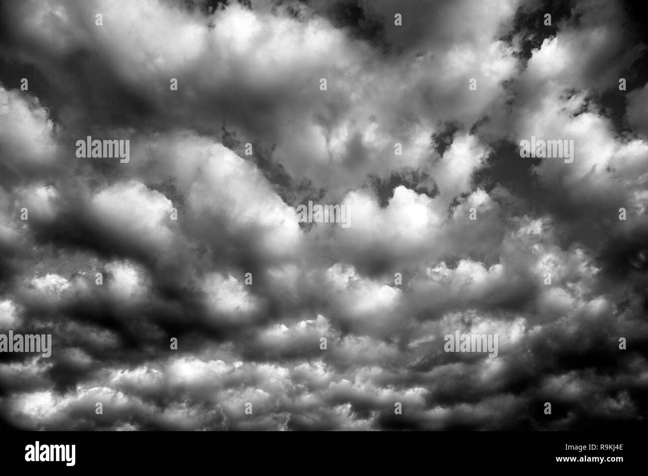 Fair weather cumulus clouds in early morning light, white puffs in ...