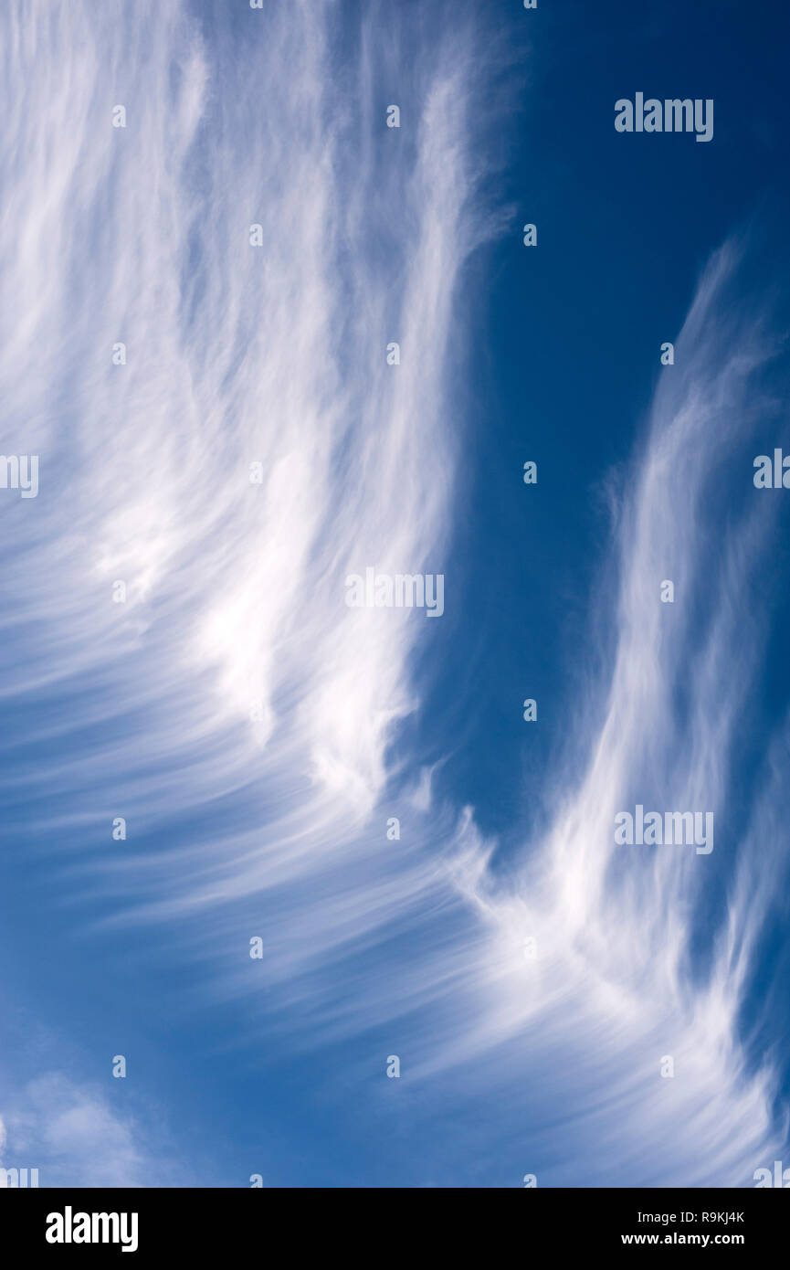 Cirrus clouds spreading out over blue sky creating animal shapes Stock ...
