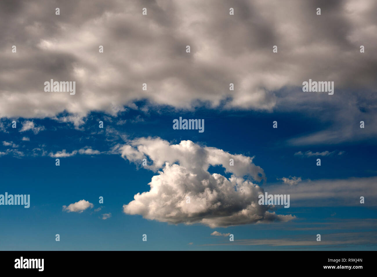 Fair weather cumulus clouds in afternoon light, white puffs in nature ...
