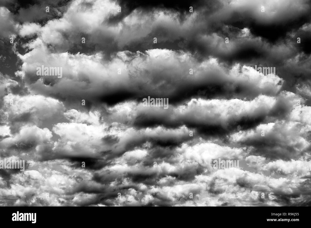 Fair weather cumulus clouds in early morning light, white puffs in nature patterns Stock Photo ...