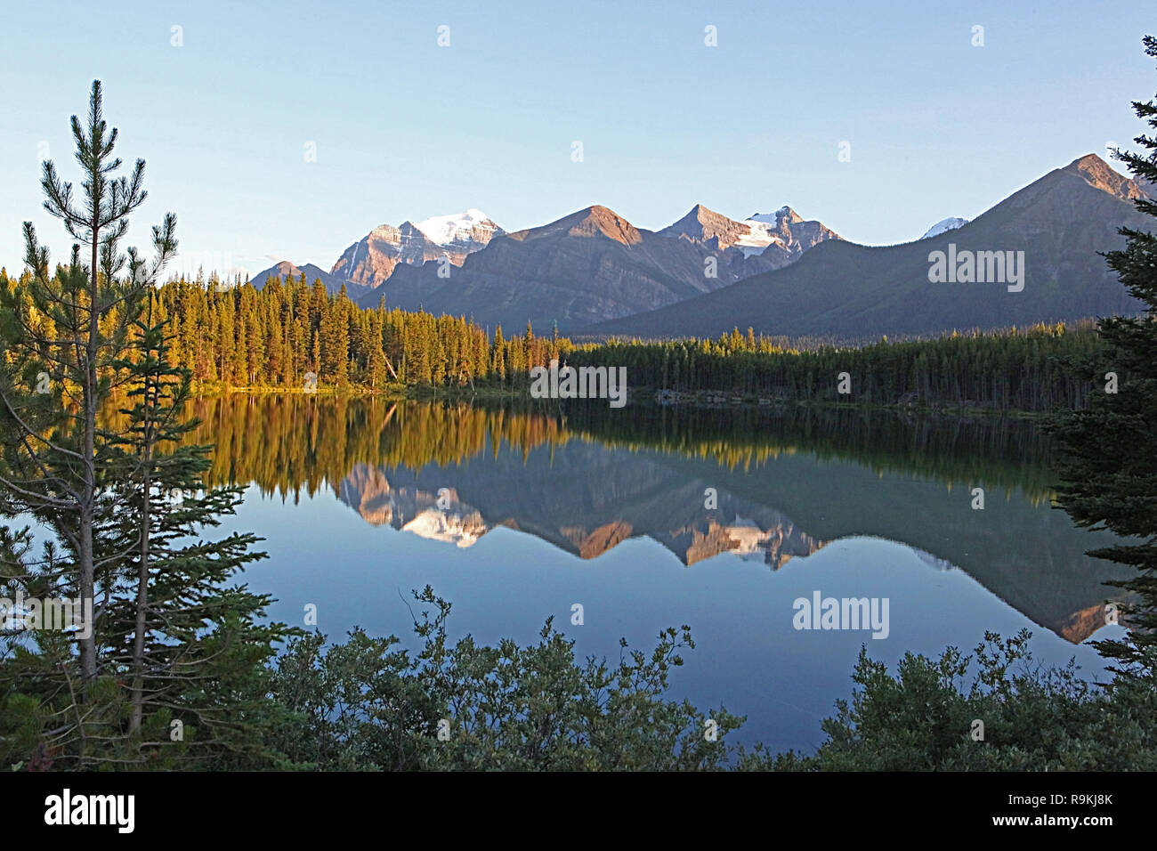 Herbert lake in banff national park hi-res stock photography and images ...