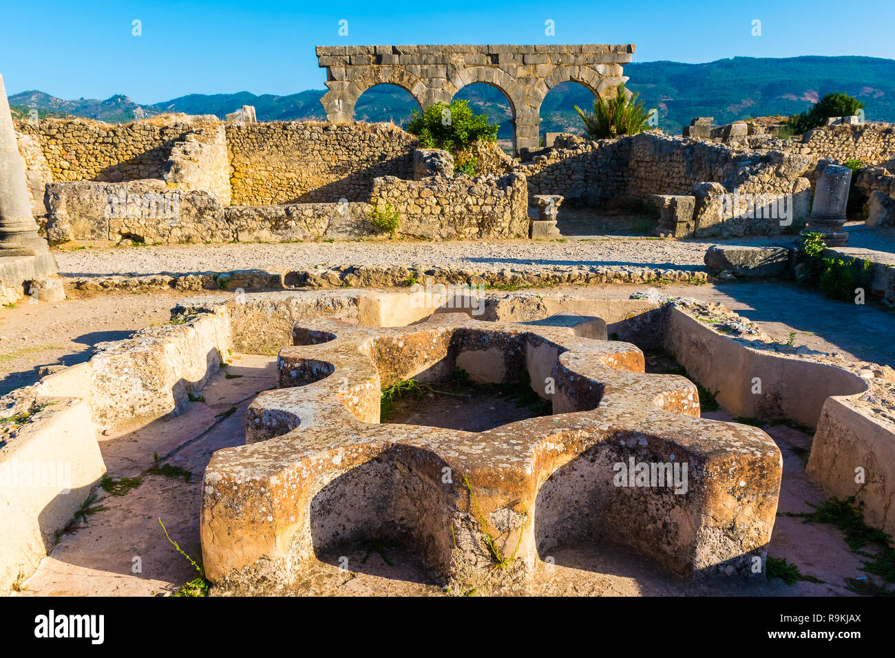 Roman Ancient city of Volubilis, Meknes, Unesco World Heritage Site in ...