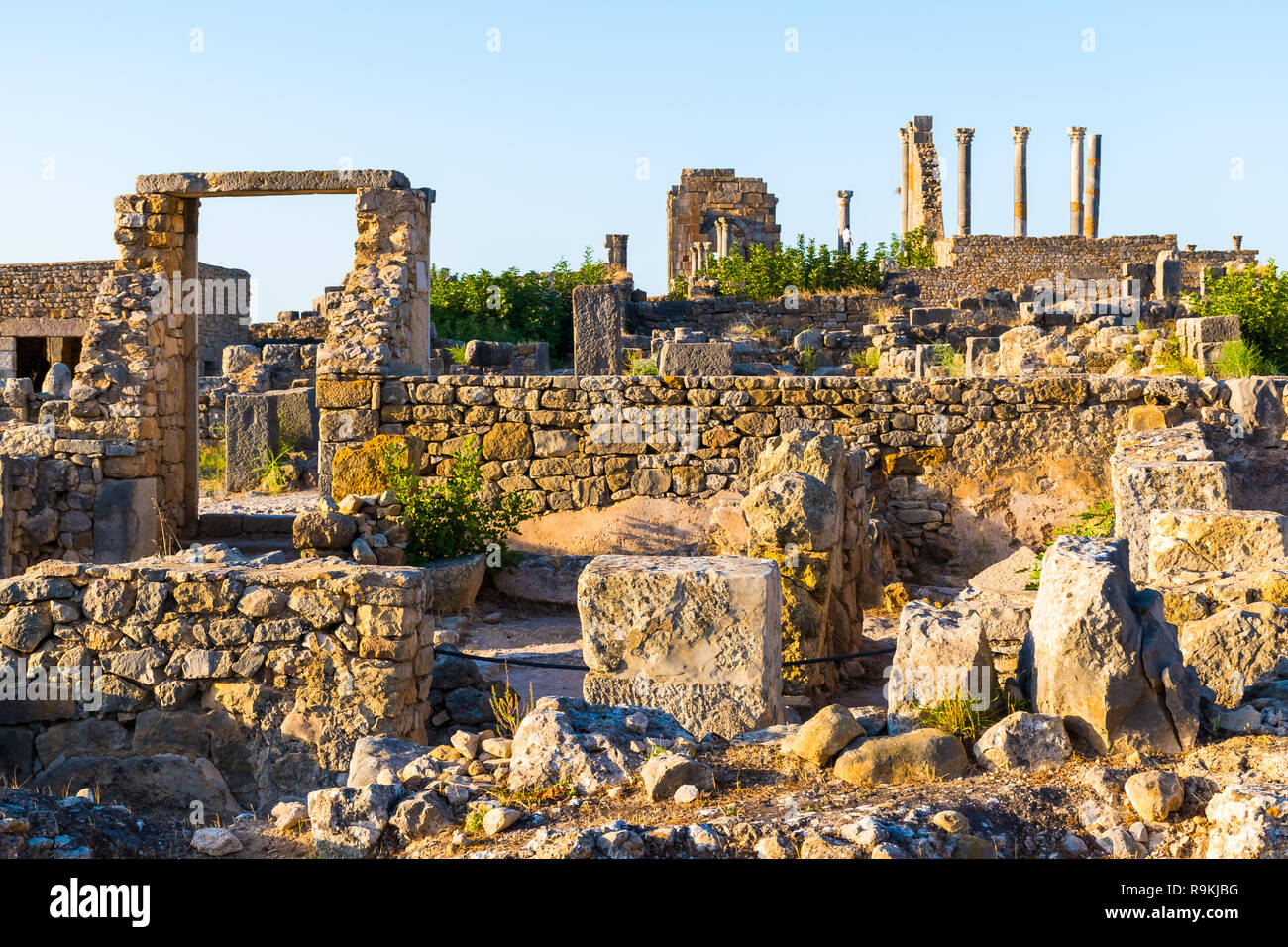 Beautiful Ancient Mosaic in Roman ruins of Volubilis, Unesco, Meknes ...