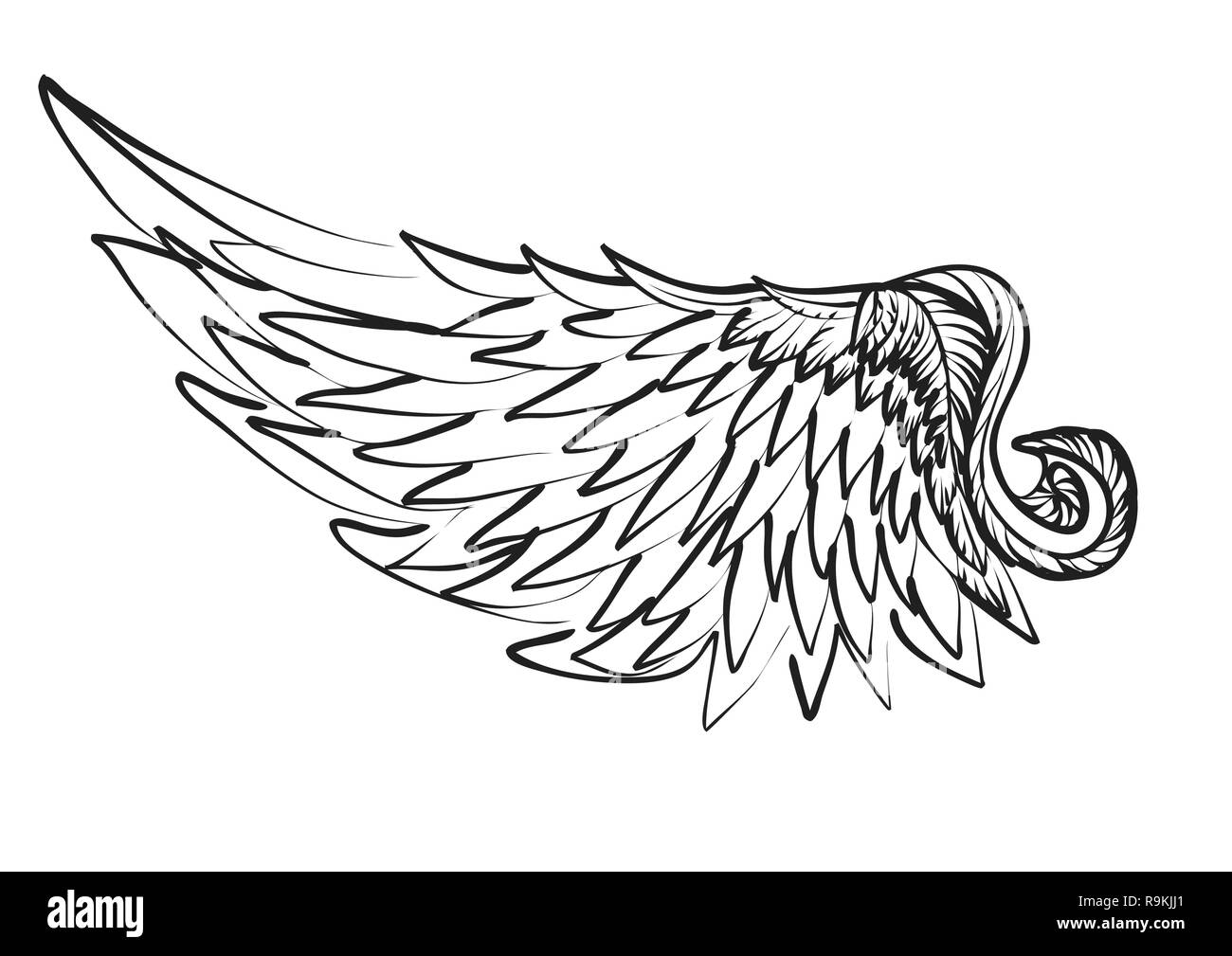 wing silhouette isolated on a white background Stock Vector Image & Art ...