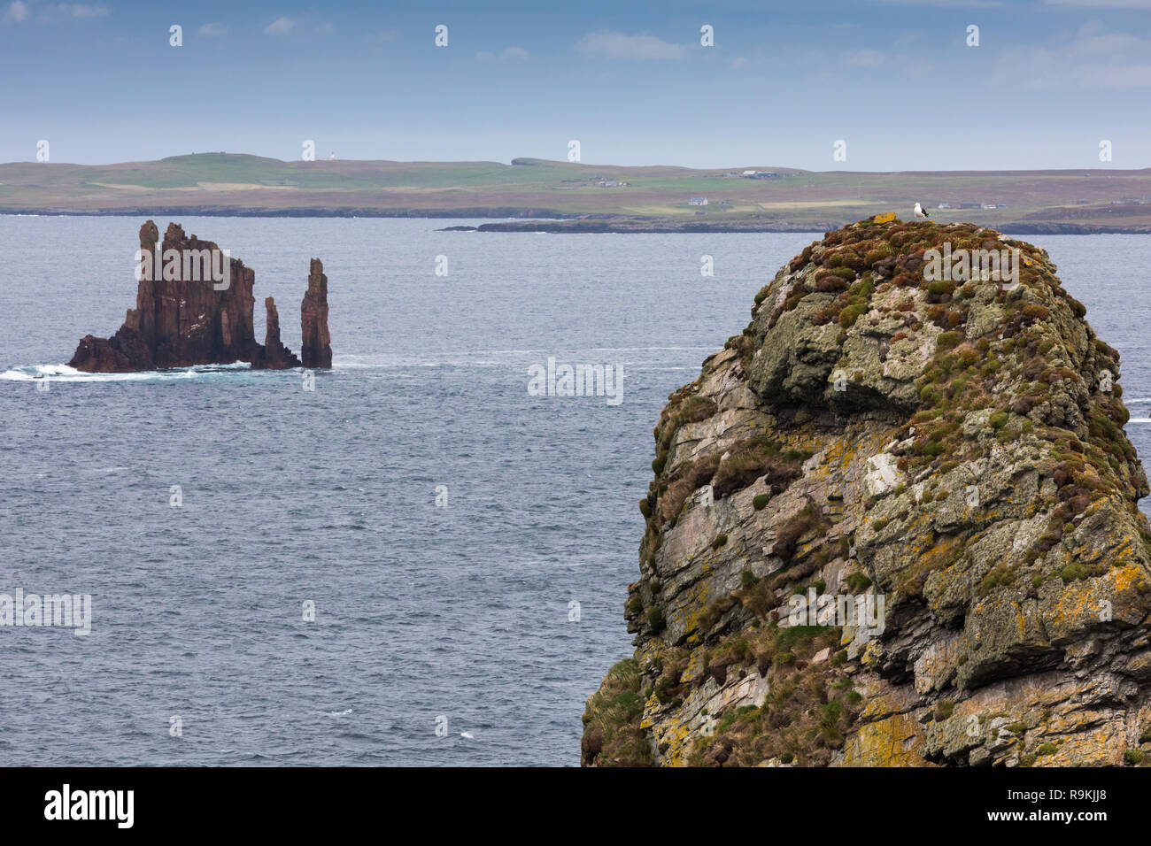 Landscape on Hillswick Ness, Shetland Islands Stock Photo - Alamy