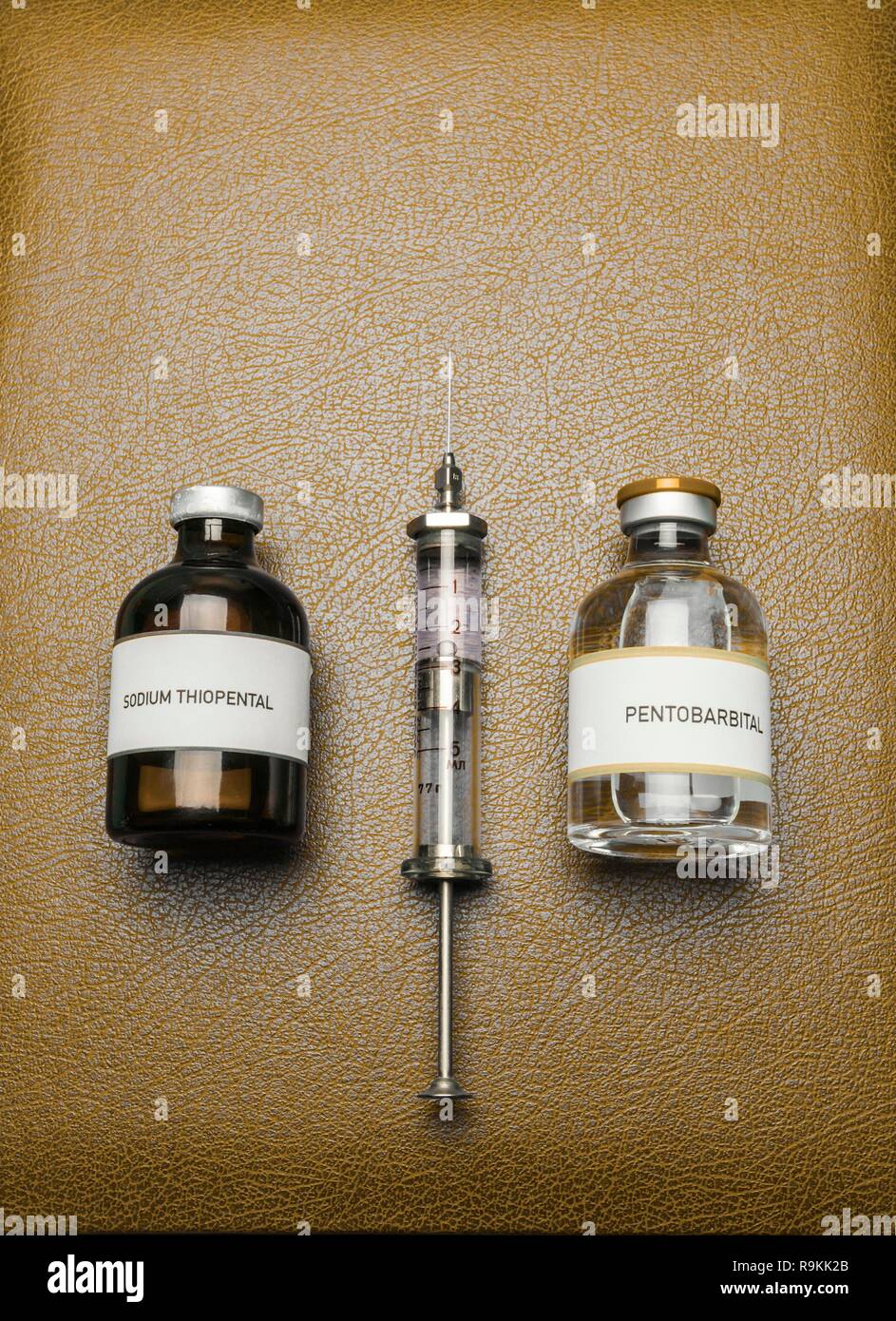 Book of voluntary euthanasia and legislation in Europe, vials of sodium ...