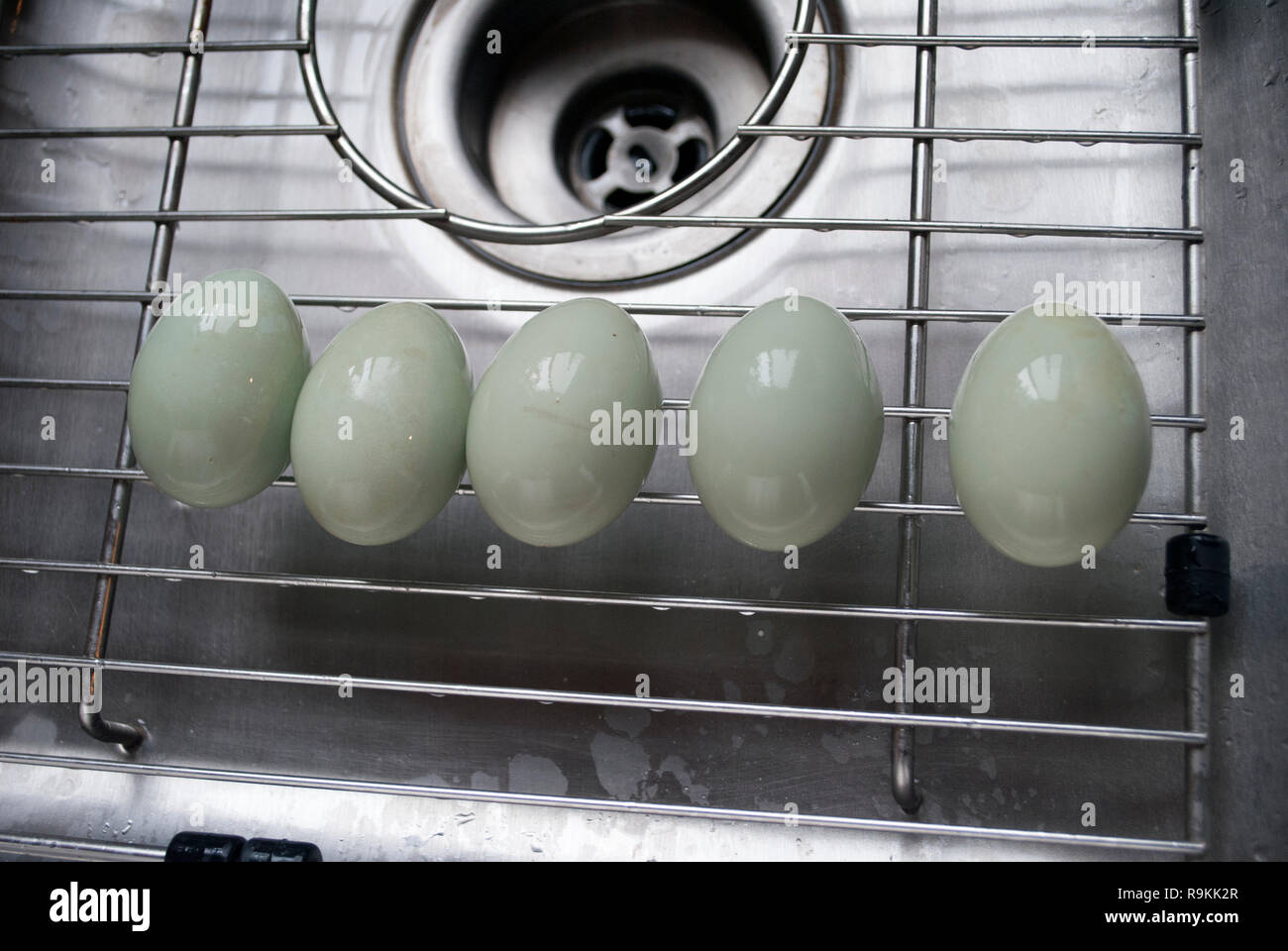Farm Fresh Eggs with a natural blue tint Stock Photo - Alamy