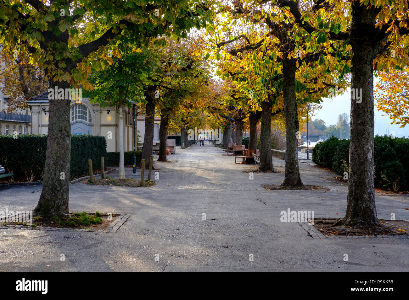 Zurich autumn hi-res stock photography and images - Alamy