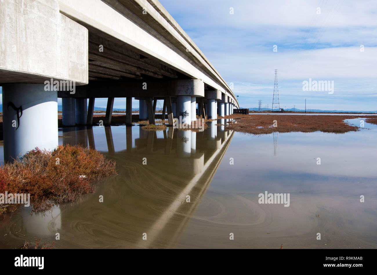 There are several rest stops in the San Pablo Bay National Wildlife ...