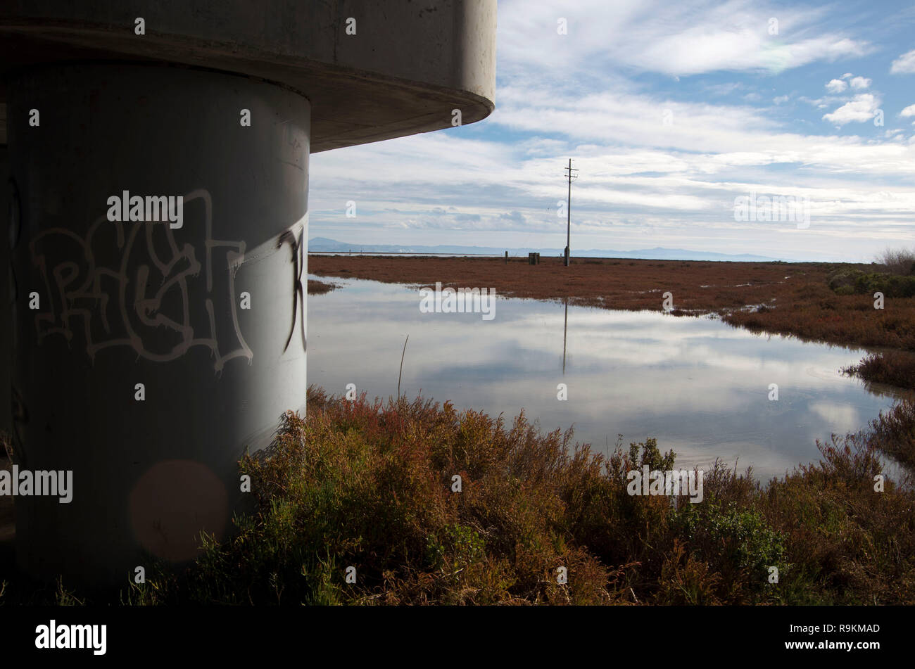 There are several rest stops in the San Pablo Bay National Wildlife ...